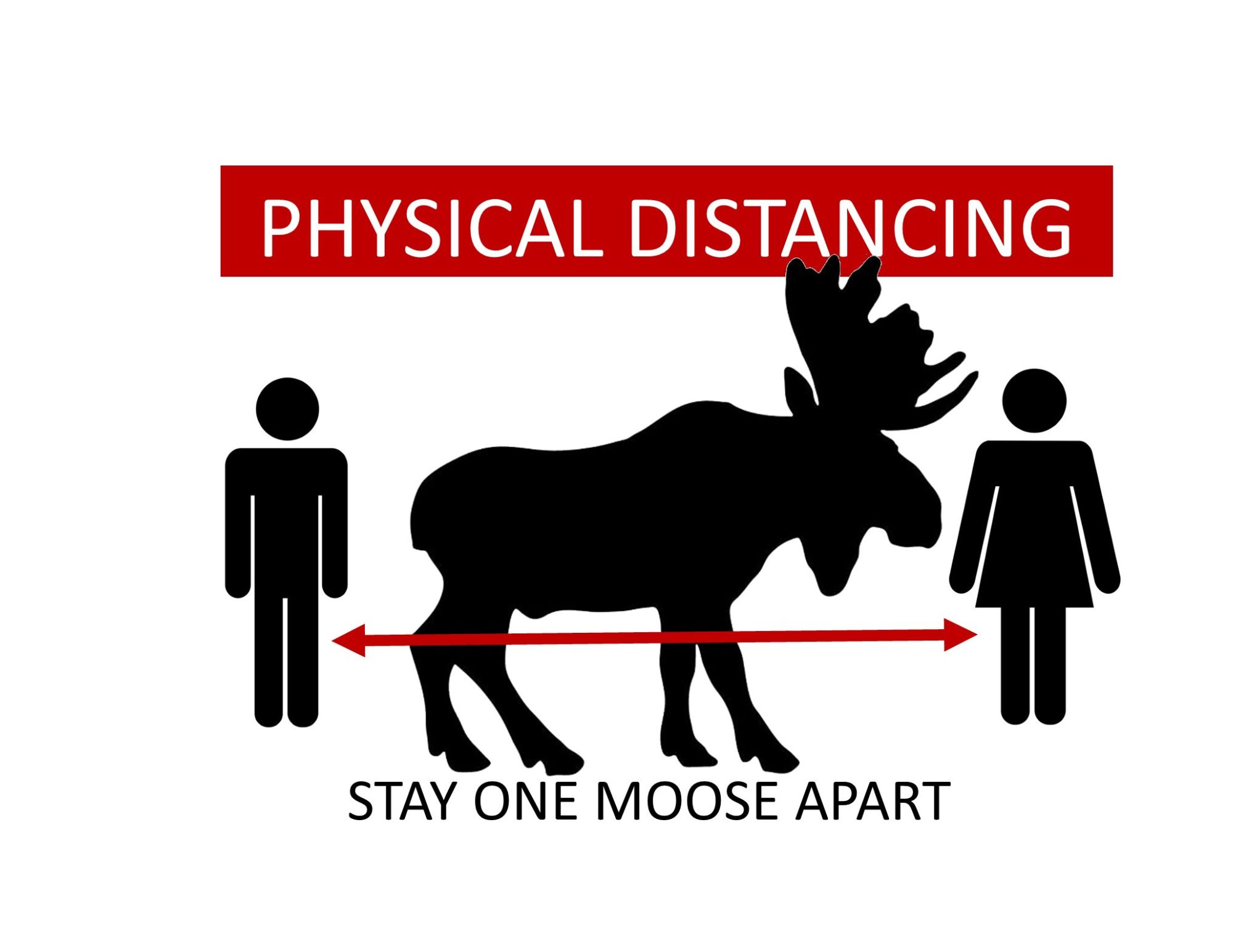 NEWS and UPCOMING EVENTS - Cary Memorial Library